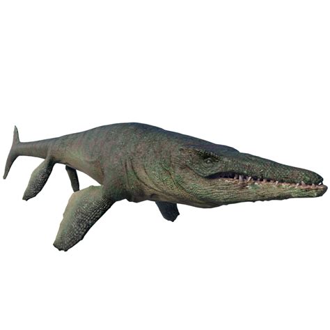 Megalodon Vs Tylosaurus Megalodon