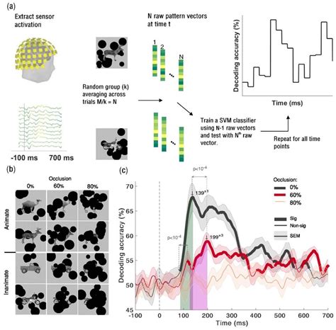 Temporal Dynamics Object Recognition Under Various Levels Of Occlusion Download Scientific