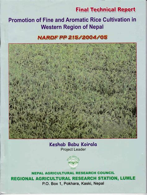 Pdf Characterization Of Local Fine And Aromatic Rice Varieties And