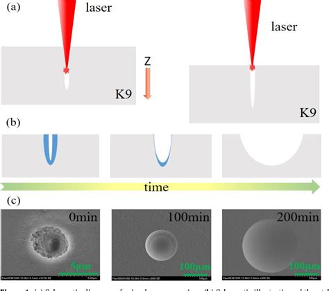 Figure 1 From Femtosecond Laser Fabrication Of Submillimeter Microlens