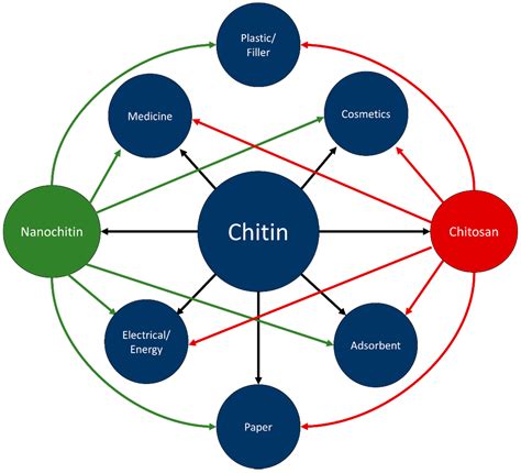Chitin Chitosan And Nanochitin Extraction Synthesis And Applications