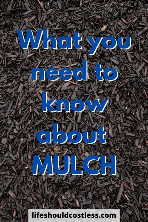 What you need to know about mulch for landscaping - Life Should Cost Less