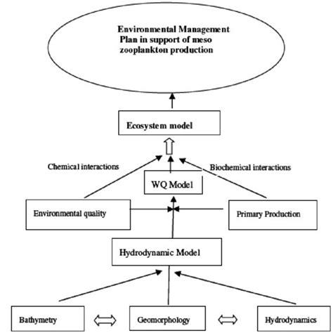 Ecosystem Model Basic Concept Download Scientific Diagram