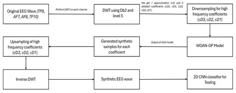 Boosting Eeg And Ecg Classification With Synthetic Biophysical Data