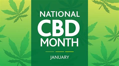전국 Cbd의 달 1월 개념 가로 배너 템플릿 디자인 텍스트가 있는 포스터 대마속에 대한 스톡 벡터 아트 및 기타 이미지