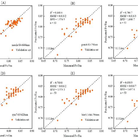 11 Relationship Between Predicted And Measured Values Of Fvfm Based Download Scientific