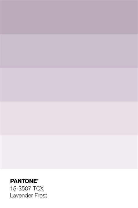 Pantone 15 3507 Tcx Lavender Frost Colour Tint Winter Color Palette