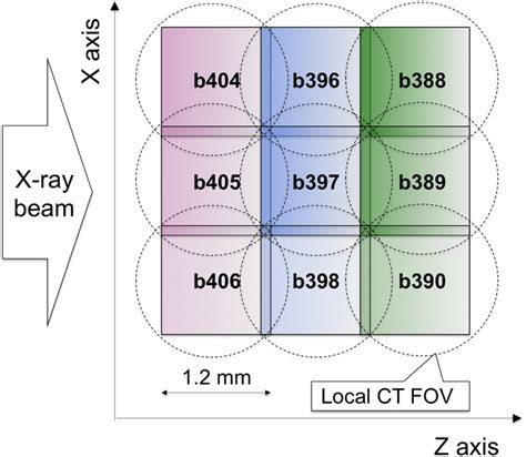 Schematic View Of The Local Tomographic Acquisition Procedure With A Download Scientific