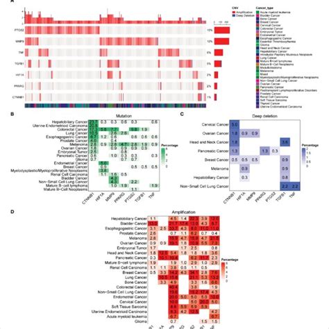Analysis Of Single Cell Rna Sequencing Of Coad A Umap Plot Of The