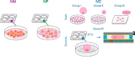 Pdf Development Of A Microfluidic Chip Powered By Ewod For In Vitro