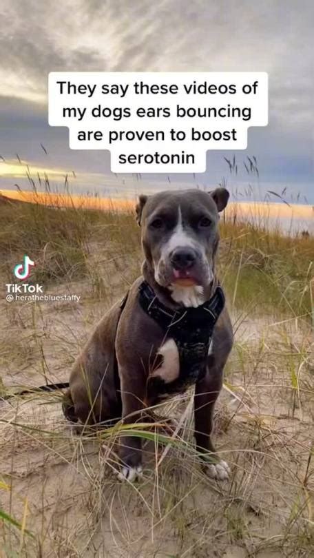 Post Miranda Cosgrove Is My Savior Tumblr Com Tumbex