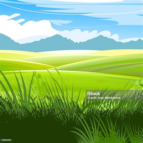 시골 언덕 풍경 벡터 소를 위한 목초지 잔디와 채소밭과 농장을 위한 장소 초원과 나무 수평선 아름다운 전망 여름 풀 벼과에 대한 스톡 벡터 아트 및 기타 이미지 Istock