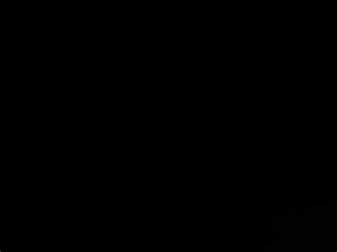 Chat With Everyone Passed Out