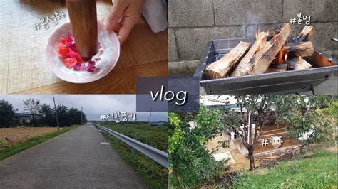 명절 Vlog 시골 내음 물씬 풍기는 브이로그🌳 Youtube