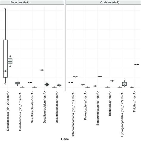 Relative Abundance Of Transcripts For Key Genes For Dissimilatory