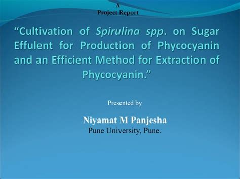 Production Of Phycocyanin And Efficient Methods For Their Extraction