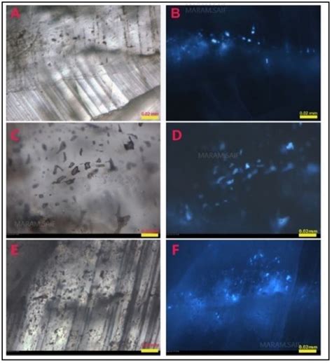 Fluid Inclusions Analysis And Applications Aapg Wiki