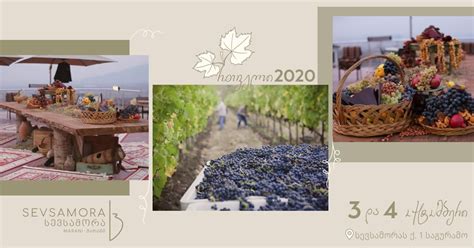 რთველი მარან სევსამორაში Tkt Ge