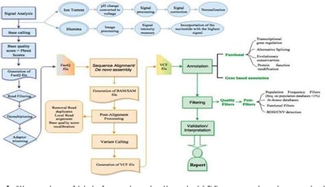 Figure 2 From The Bioinformatics Application In Detecting Germline And Somatic Variants Towards