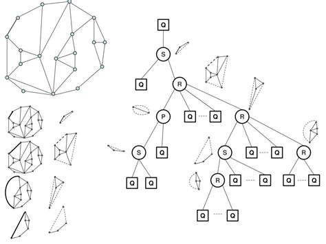 Ppt Spqr Tree Powerpoint Presentation Free Download Id3379108