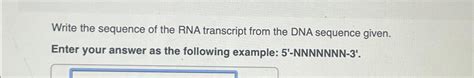 Solved Write The Sequence Of The RNA Transcript From The DNA Chegg