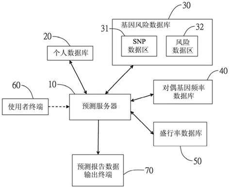 Single Nucleotide Polymorphism Disease Incidence Prediction System