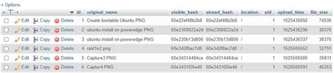 Serving Static Files Debian Nginx No Apache Web Hestia Control Panel Discourse