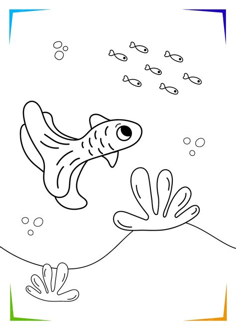 검은색과 흰색 물고기 조류 아이들을 위한 색칠 페이지 해양 수중 주민 벡터 그림 아이들을 위한 인쇄 가능 아이들을 위한 워크시트 색칠하기 책 검정은 해양 생물을 윤곽