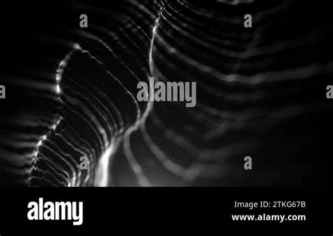 Flowing Thin Particle Lines Background 4k Animation Of An Abstract