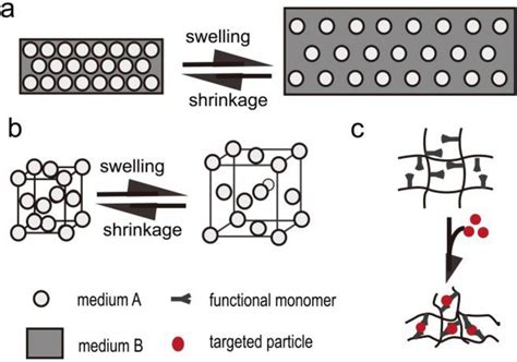 Schematic Diagram Of Swelling Or Shrinkage Of Pcs Download Scientific Diagram