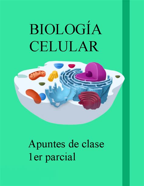 Biología Celular Resumen De Apuntes BiologÍa Celular Rodríguez