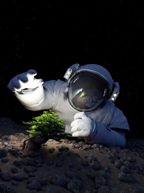 Tree In Space Stock Illustration Illustration Of Columbia 65961797