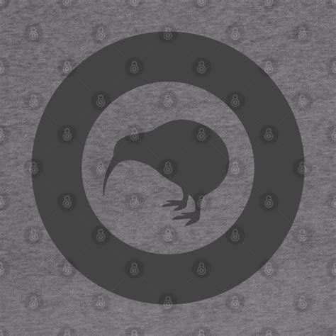 Kiwi Roundel Air Force Hoodie Teepublic