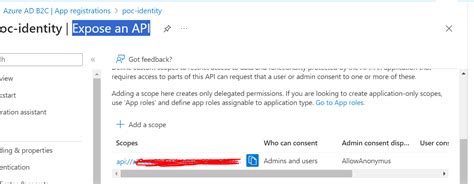 Azure Ad Ap Can We Create Custom User Identity To Access Allow Back End