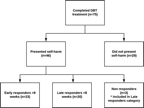 Frontiers Cessation Of Deliberate Self Harm Behavior In Patients With