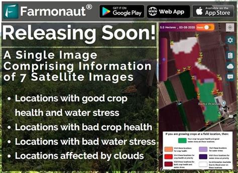 Ndvi Meaning And Interpretation Boost Crop Health Now
