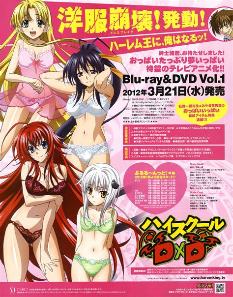 rias gremory himejima akeno toujou koneko asia argento and hyoudou
