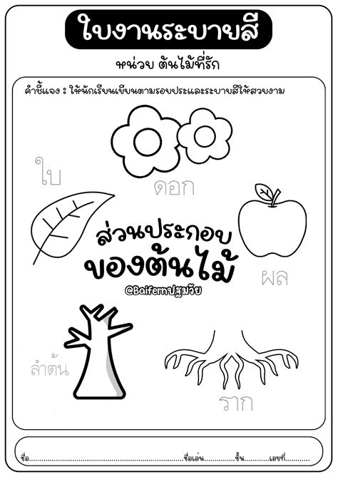 ปฐมวัยรวมแชร์ สื่อ แบบฝึกหัดฯลฯ