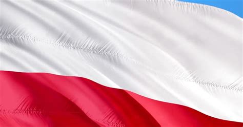 Eu Lisa On Linkedin Strongertogether Asafereurope