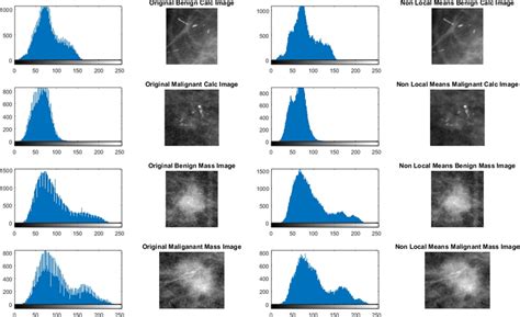 Histogram Filter Vs Particle Filter At John Froehlich Blog