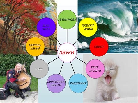 Презентація Звуки мови і звуки мовлення Голосні і приголосні звуки 5 клас за вимогами НУШ