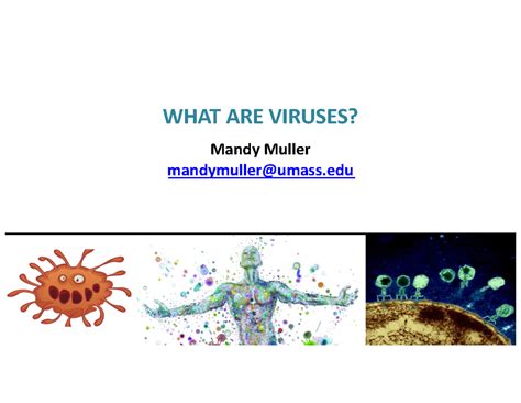 Understanding Viruses Key Concepts And Implications Course Code Pnc2 What Are Viruses