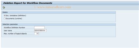 Swuodel Sap Tcode Deletion Report For Workflow Docs