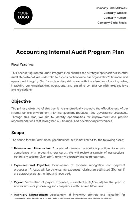 Free Accounting Internal Audit Program Plan Template To Edit Online