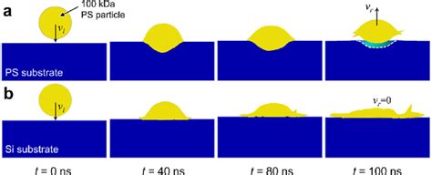 Time Sequence Snapshots Showing The Impact Of 100 Kda Ps Particle