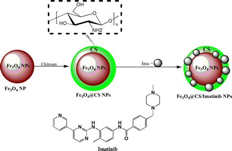 Schematic Presentation Of The Synthetic Route To Imatinib‐loaded Download Scientific Diagram