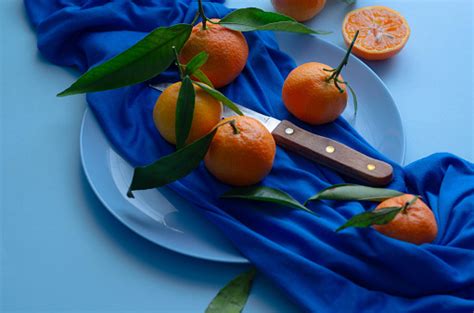 파란색 배경에 녹색 잎이 있는 잘 익은 신선한 만다린 또는 귤 오렌지의 상위 뷰 보색의 클레멘 타인 구성 0명에 대한 스톡 사진 및 기타 이미지 Istock