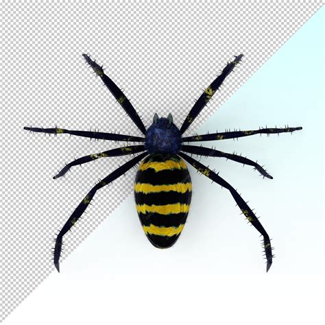 Premium Psd 3d Exotic Spider Isolated