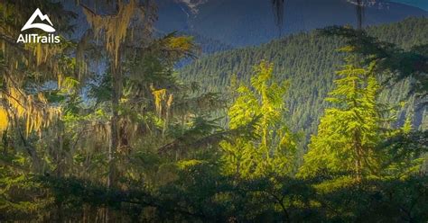 Easy Mod Options List Alltrails