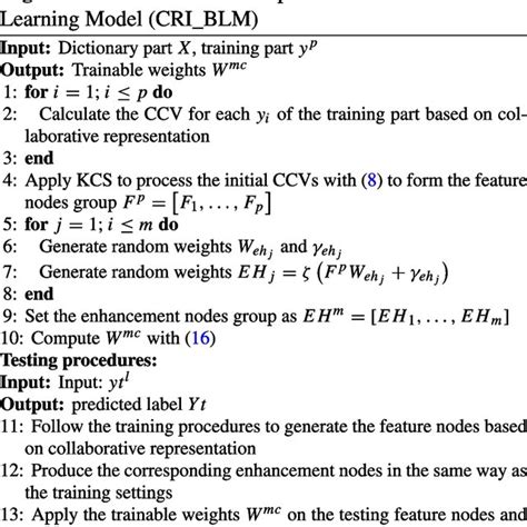 Collaborative Representation Induced Broad Learning Model Cri Blm